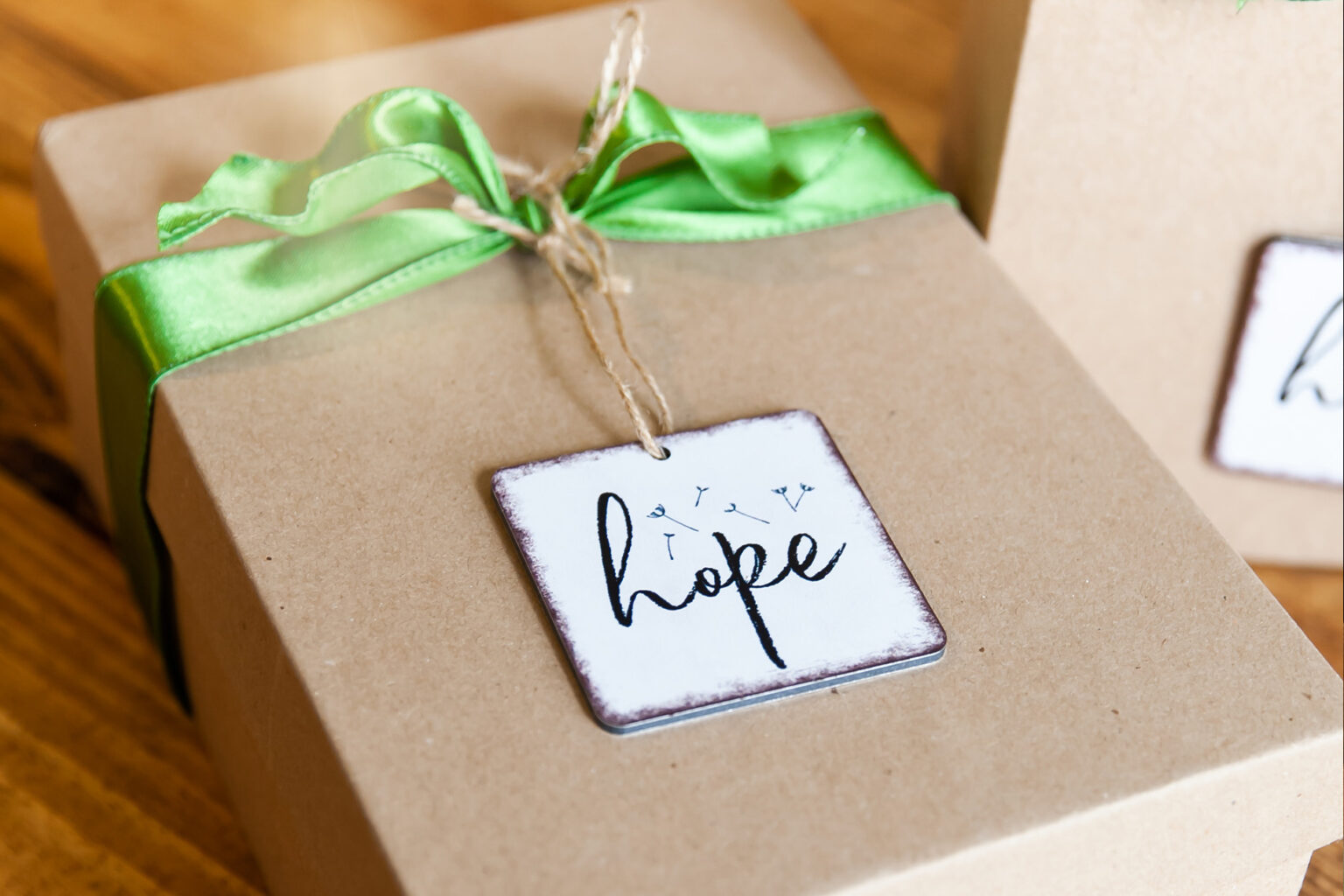 Hope Boxes - Hope Gathering